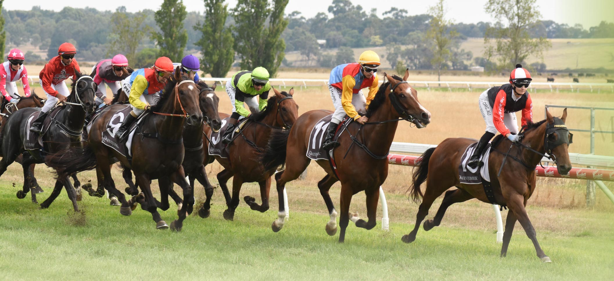 Naracoorte Racing Club - Country Horse Racing SE South Australia